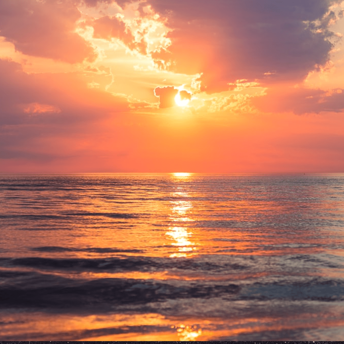 Where the Sun Meets the Sea – Petite Poetry